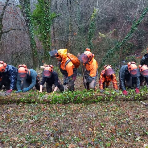 BAC PRO GMNF - Lycée forestier