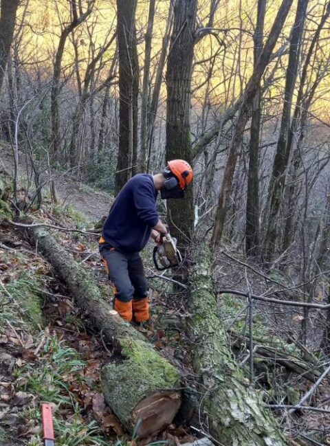 BAC PRO GMNF - Lycée forestier